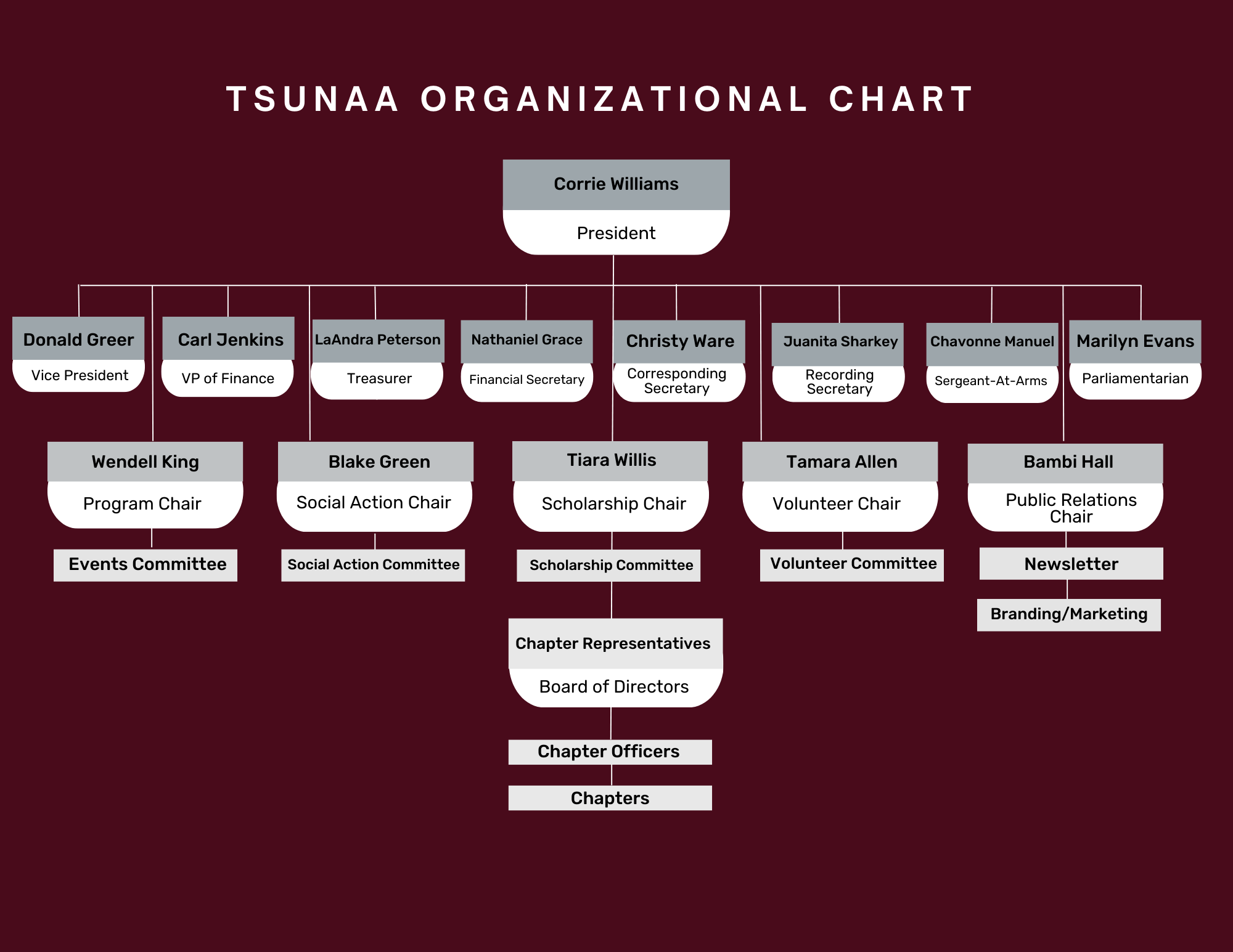 Organization Structure — TSU National Alumni Association