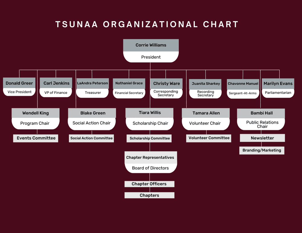 Organization Structure — TSU National Alumni Association