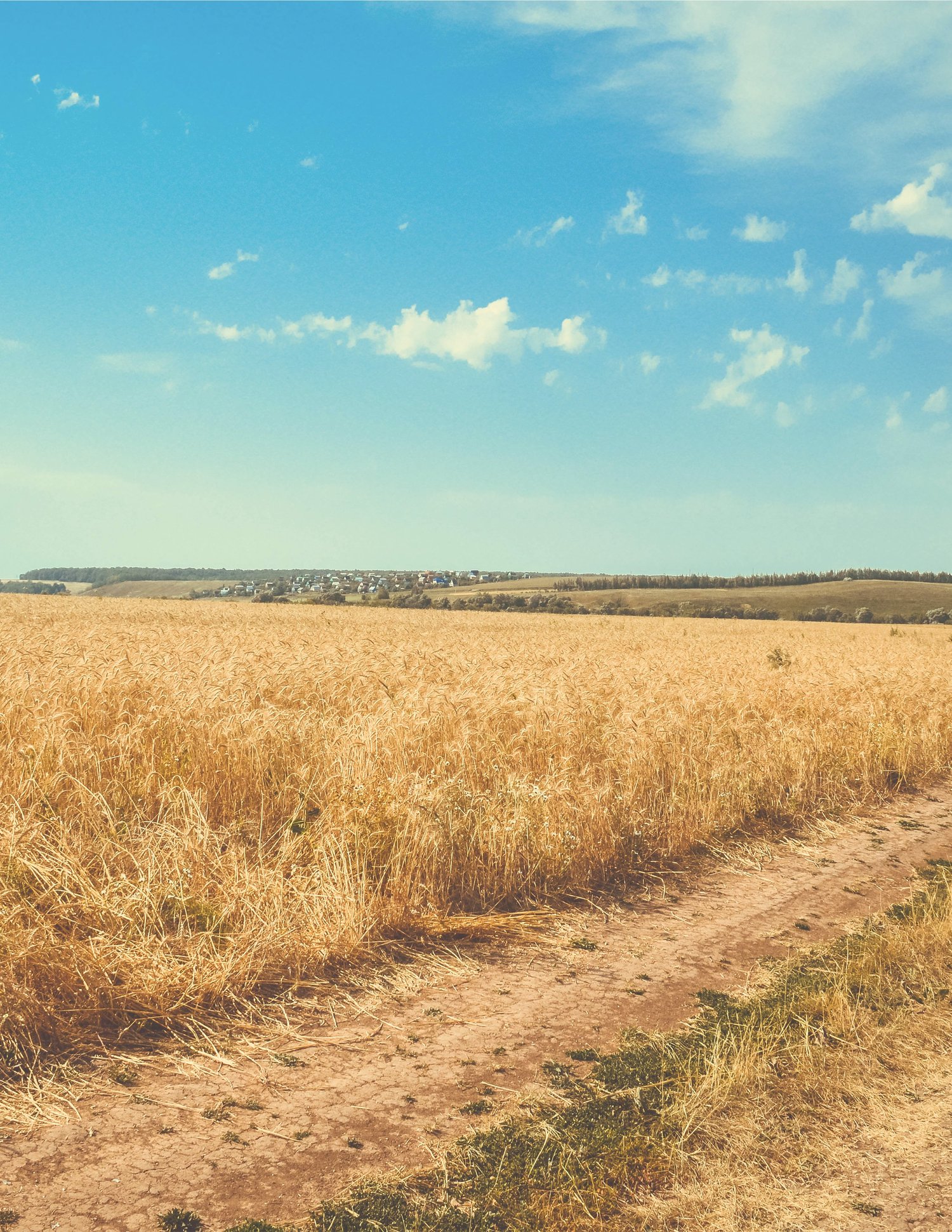 SA 20 Swinging Leg Drive Over Grain Conveyor — Soaring Eagle Grain ...