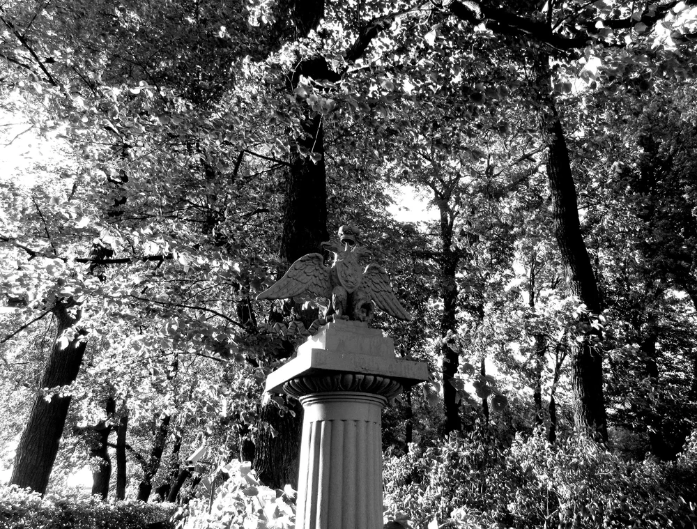 A Classic Russian Rock Blog — Russian Through Propaganda