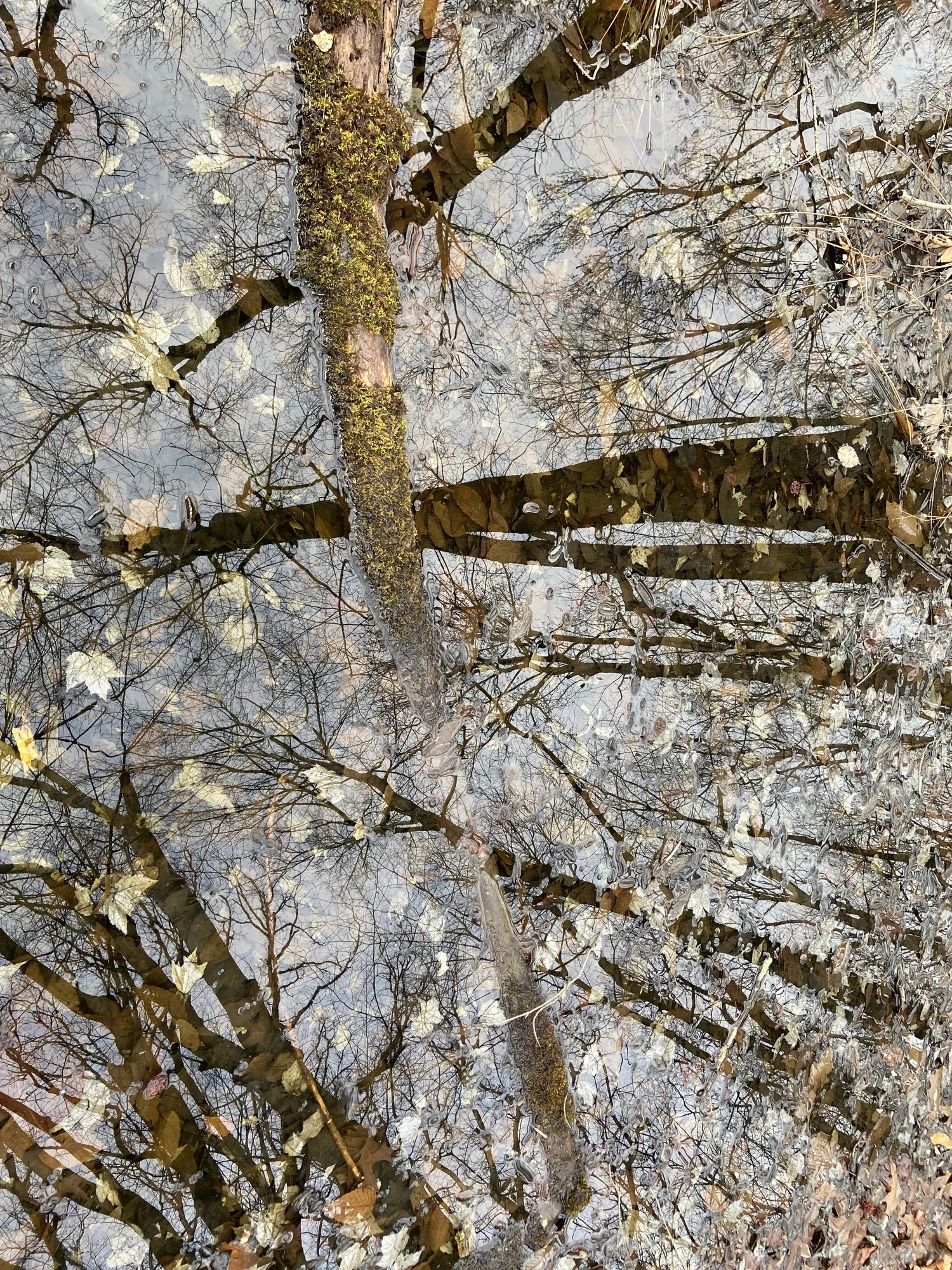 Russian Poetry Trove — Russian Through Propaganda