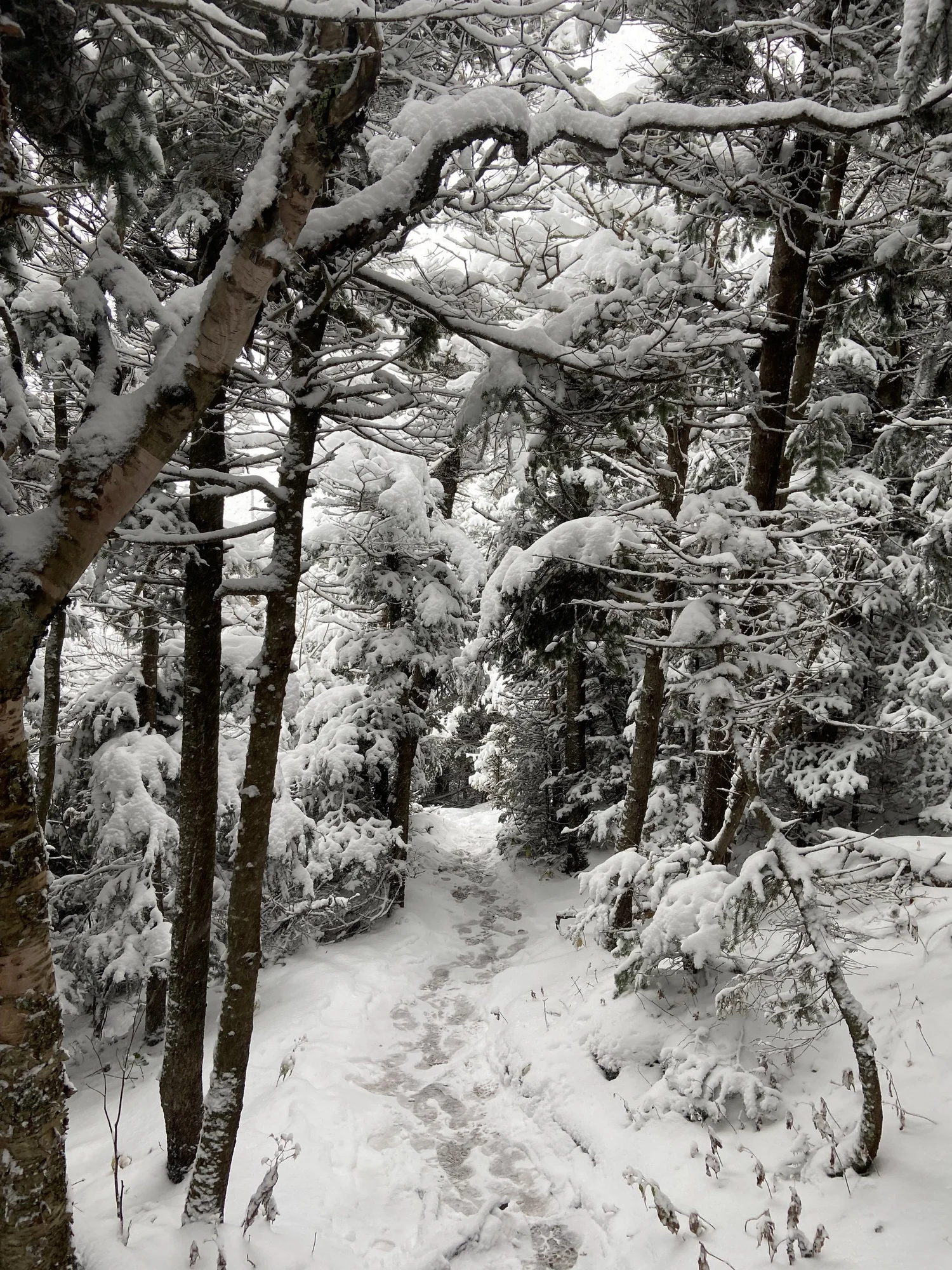 Russian Poetry Trove — Russian Through Propaganda