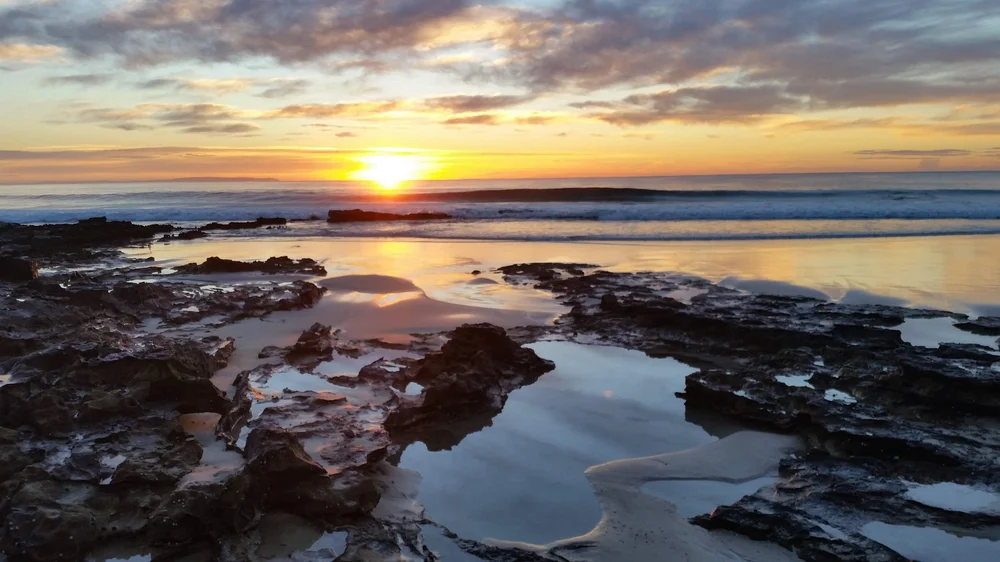 An intro to ocean tides — Salty Tribe