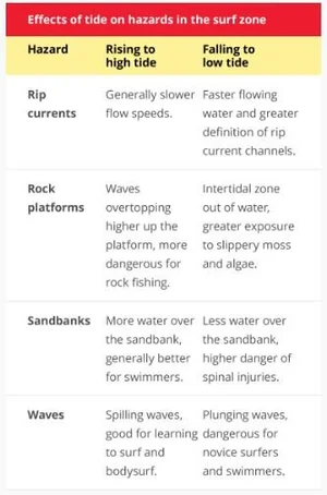 An intro to ocean tides — Salty Tribe