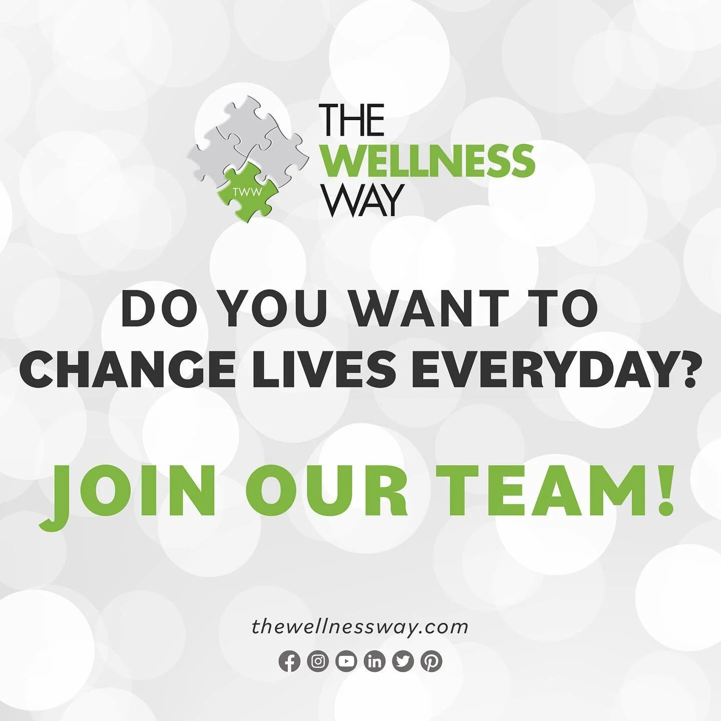 The Wellness Way Sarasota