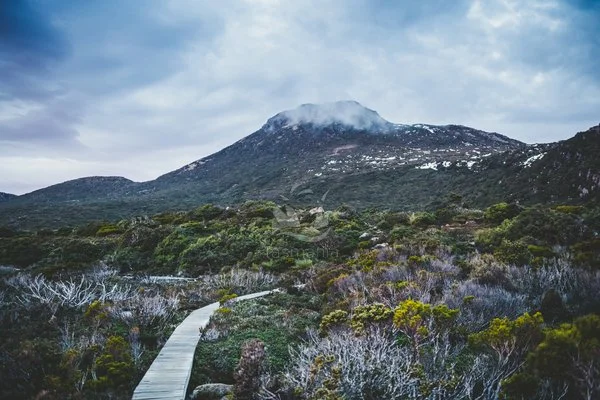 The Five Best Huon Valley Hikes — THE BOWMONT * TASMANIA