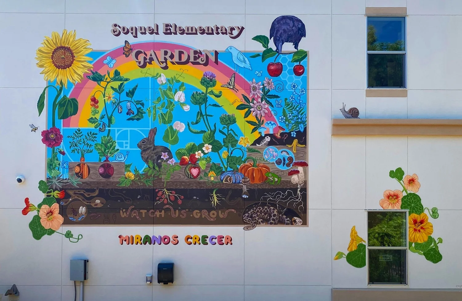 Murals — COSTANZO CREATIVE