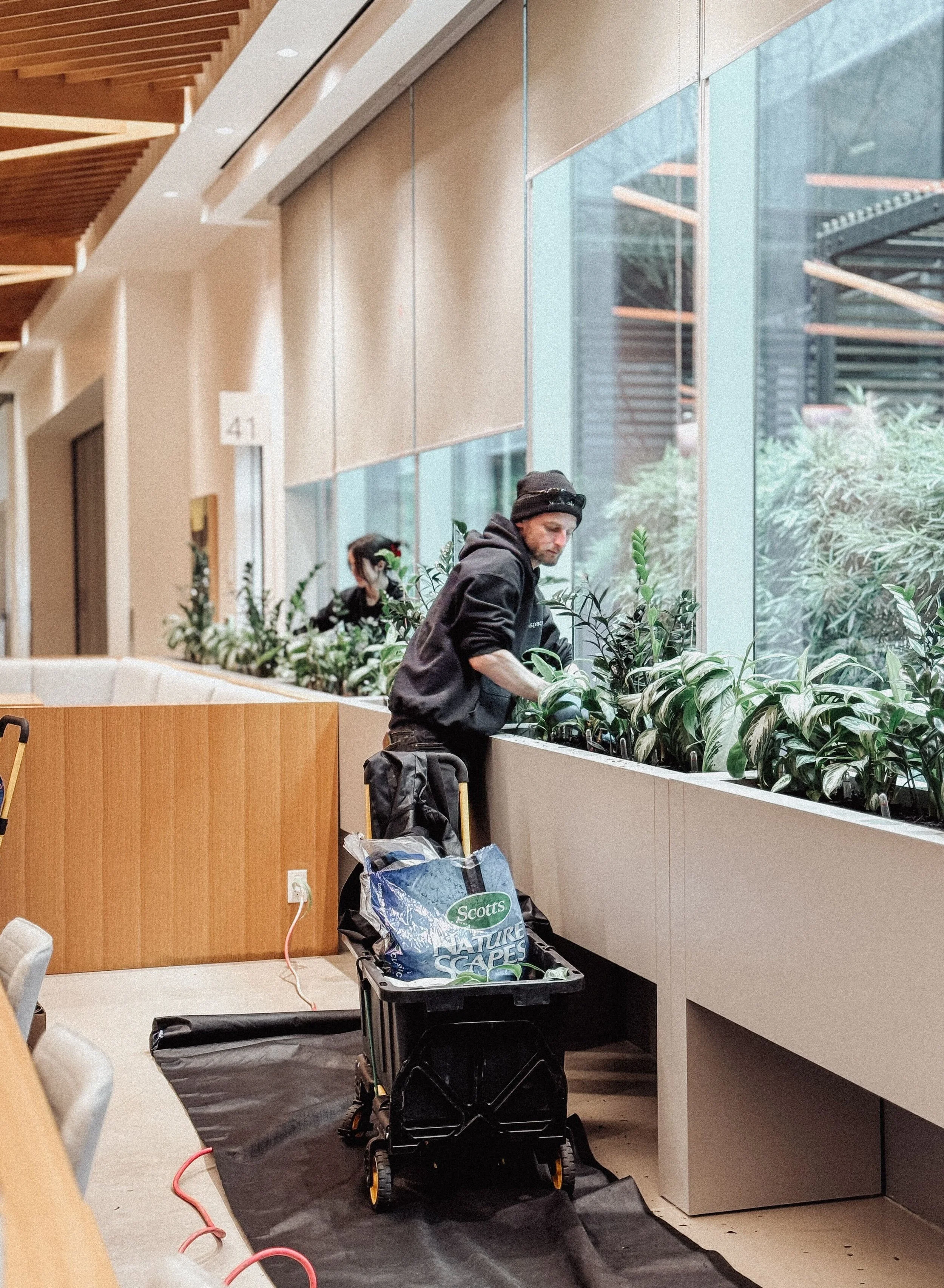 Commercial Indoor Plants Services in Canada