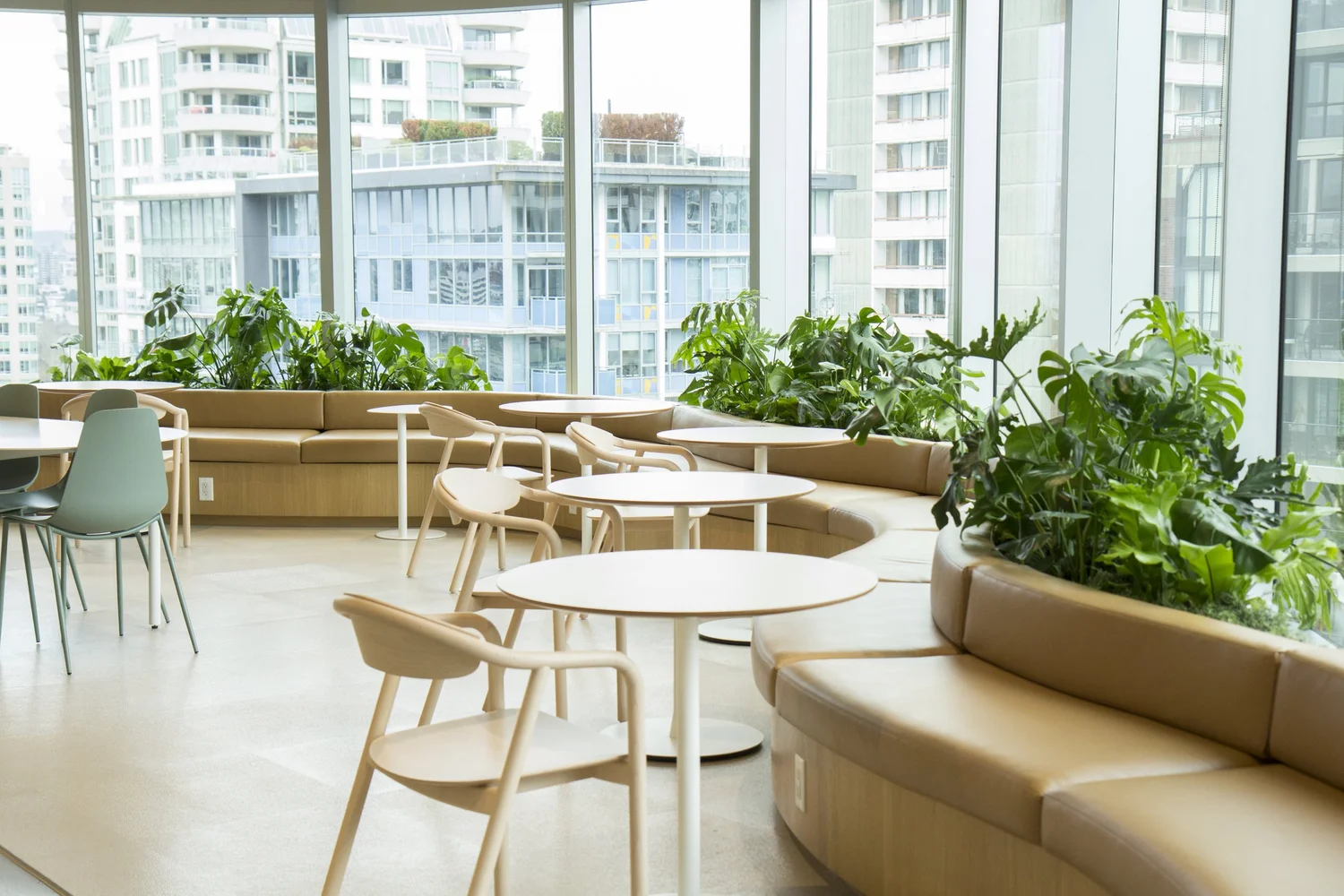Office Plant Service & Indoor Plants Canada