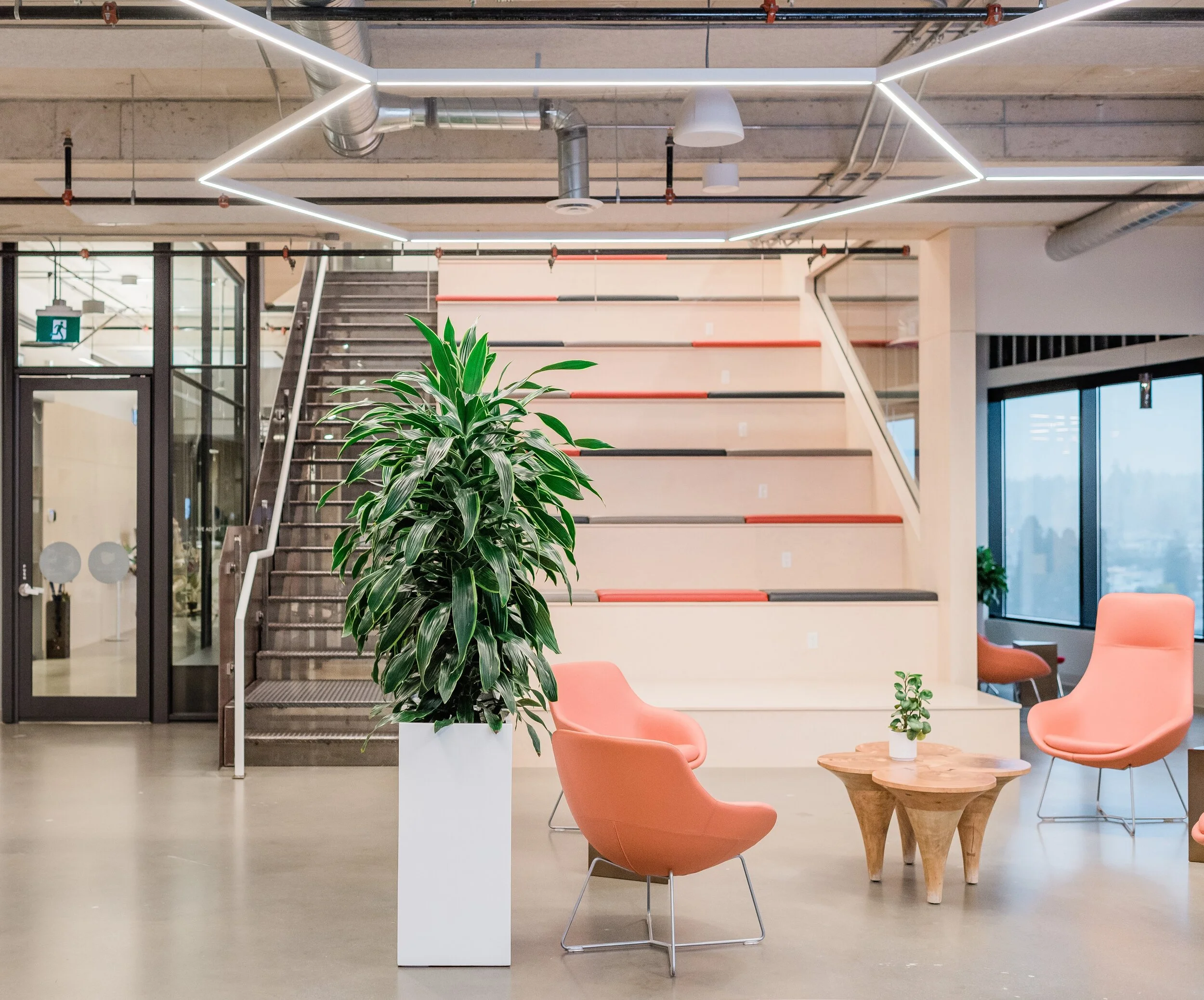 Office Plant Service & Indoor Plants Canada