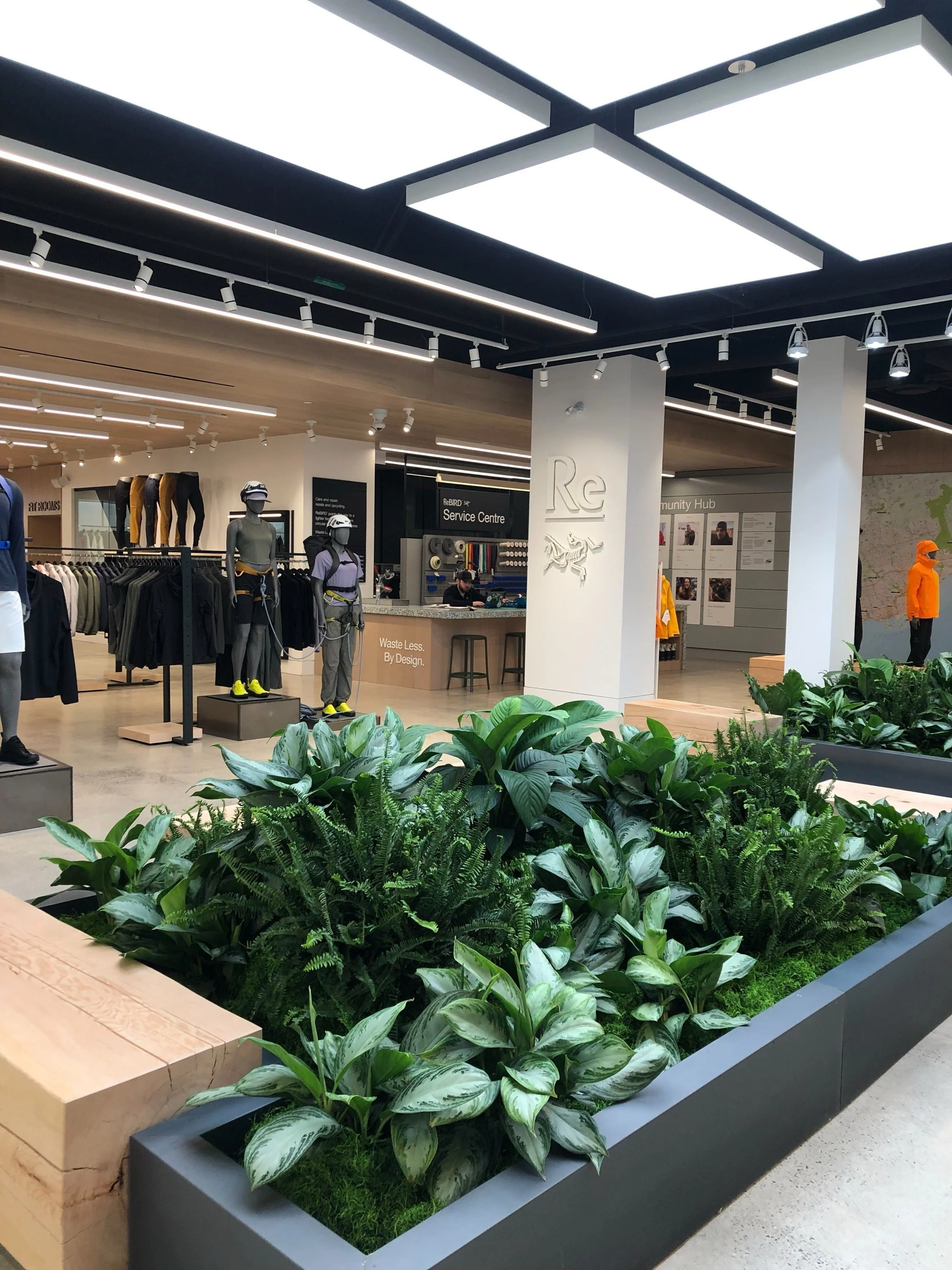 Indoor Office Plants Services — Greenspace Indoor Office Plants Vancouver