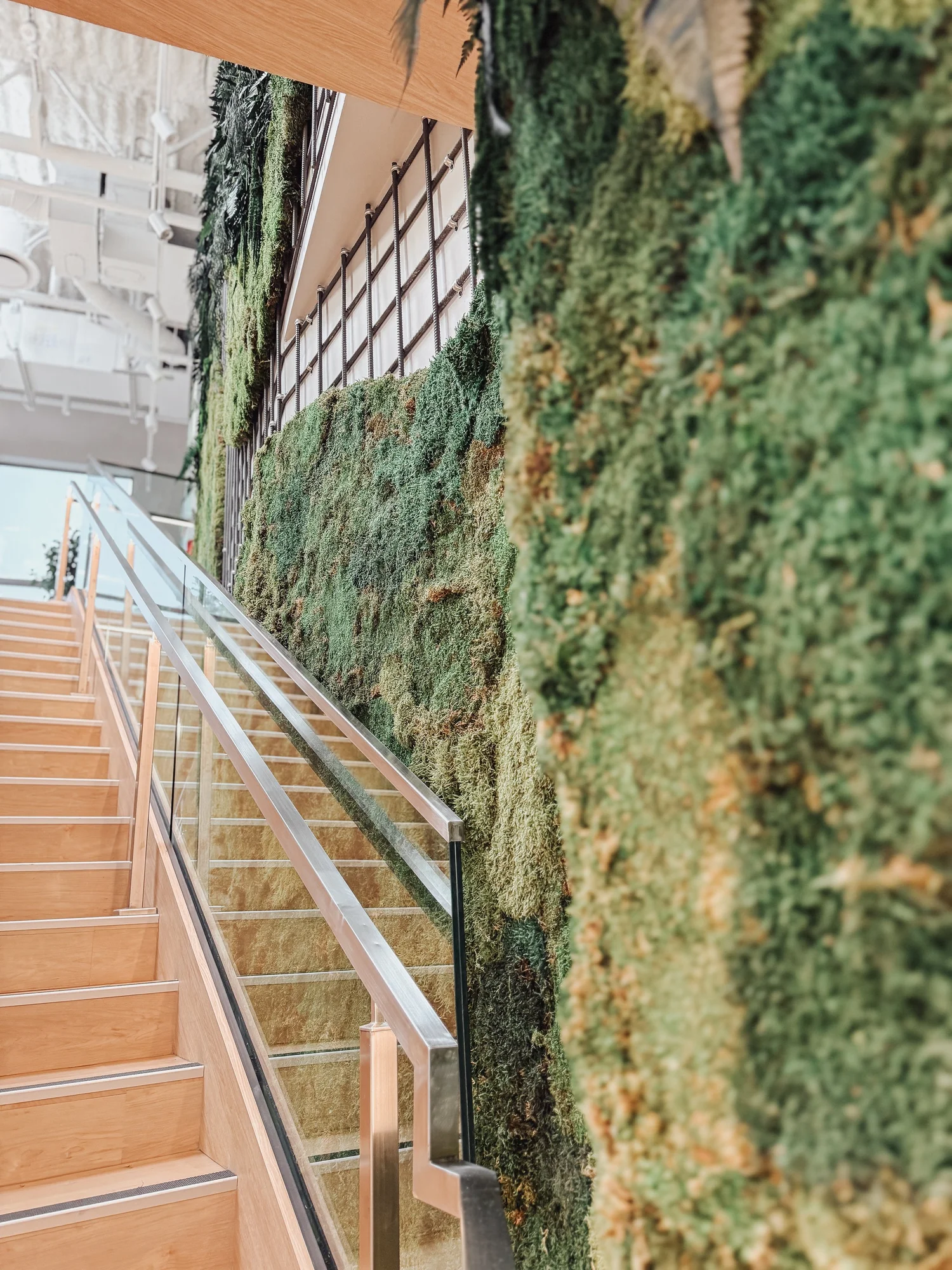 Indoor Plant Service Canada / Green Plant Walls