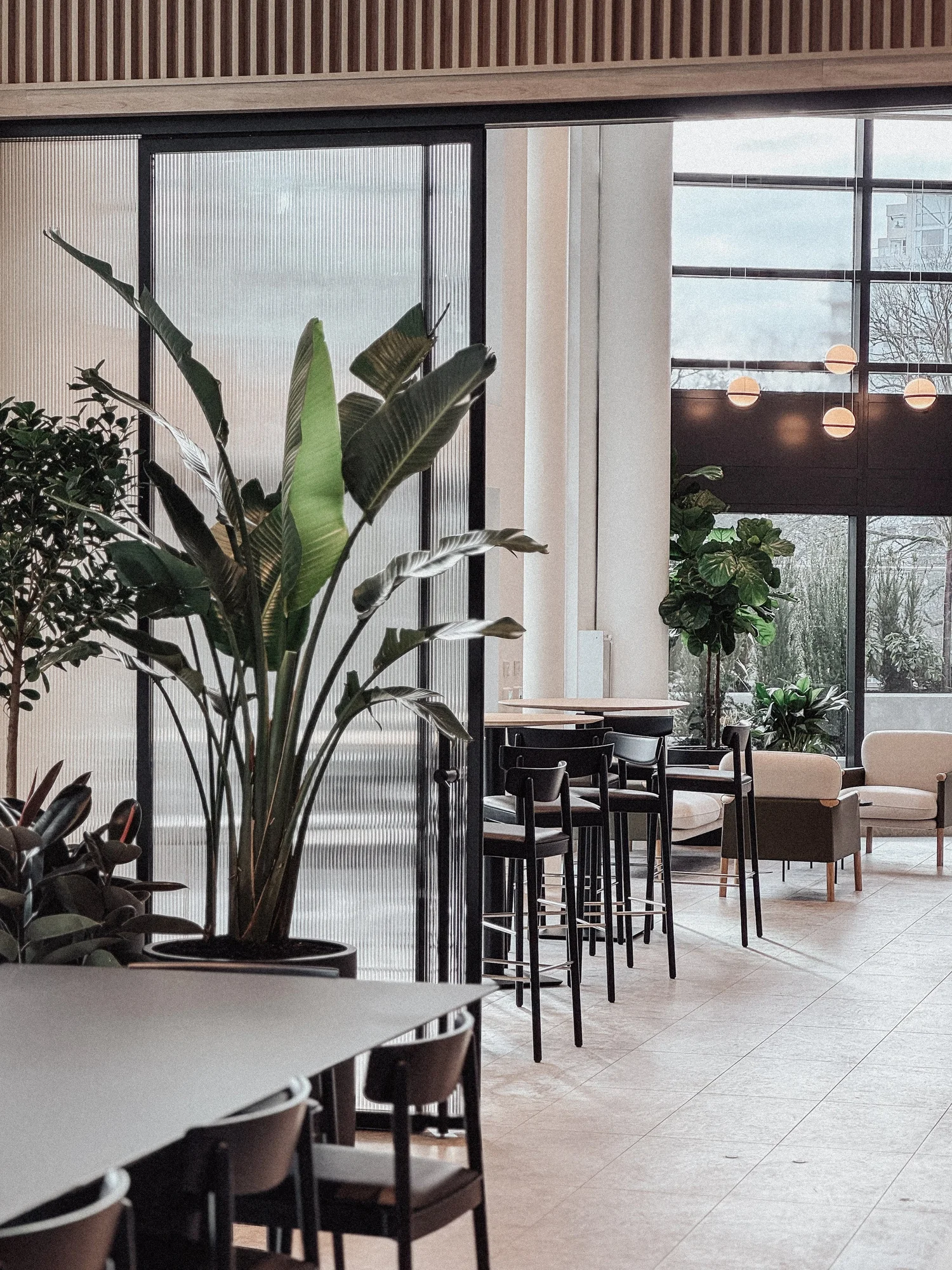 Indoor Plant Service Canada / Collaborating with Interior Designers