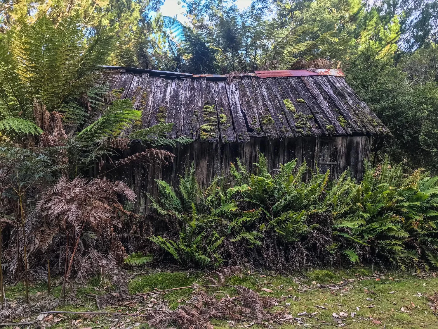 Lone Star Mine Huts — Mountain Huts Australia