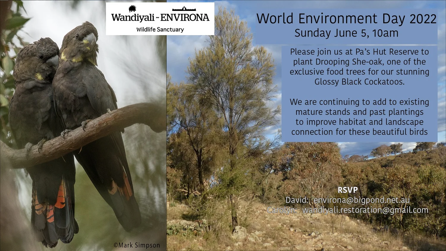 World Environment Day 2022 — Wandiyali Restoration Trust