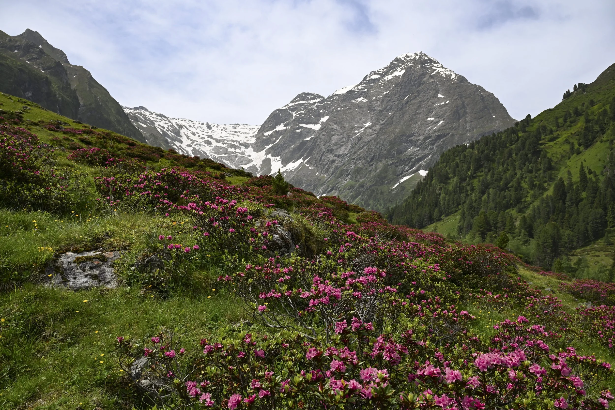 Barbara Stricker — Schamanische Kraft- und Seelenarbeit