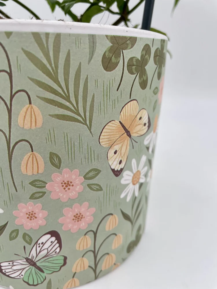 Shop Online — Blossom Co Floral Design