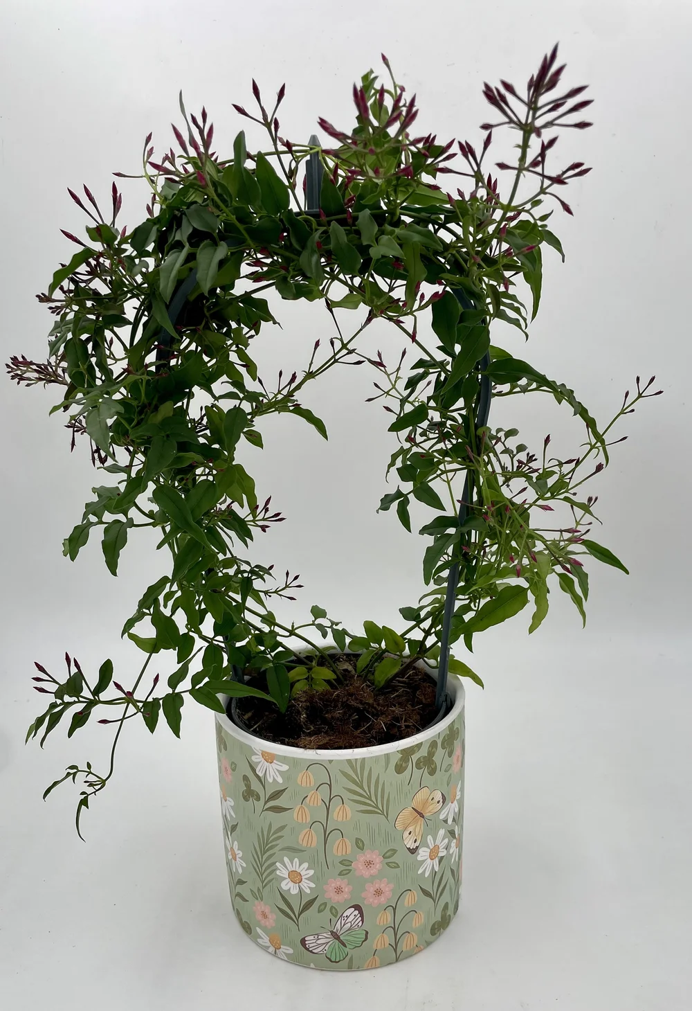 Shop Online — Blossom Co Floral Design