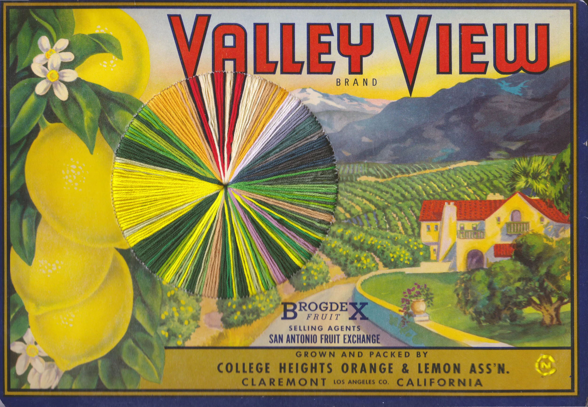 Color Holes: Fruit Crate Labels — Mrs. Ciccoricco