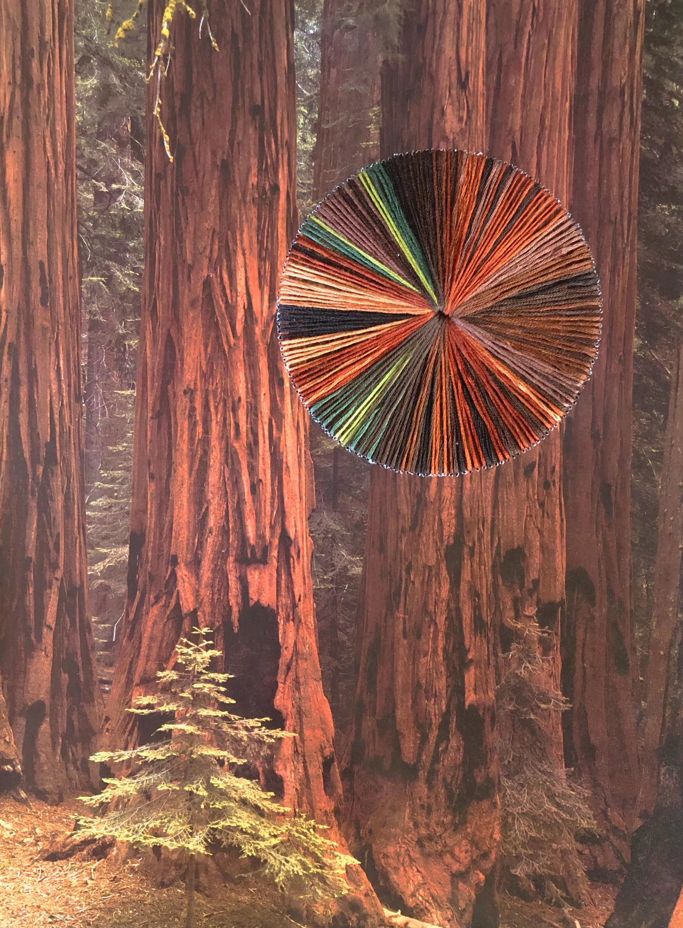 Color Holes: Landscapes — Mrs. Ciccoricco