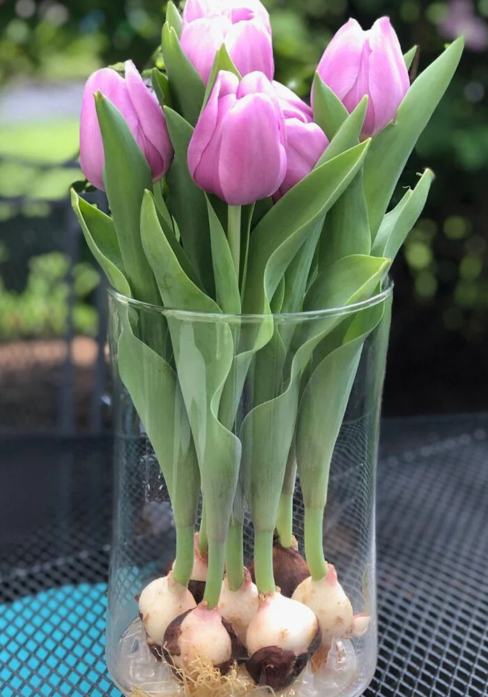 Floral Products Gallery | Floral Shop | Bloomaker USA, Inc.
