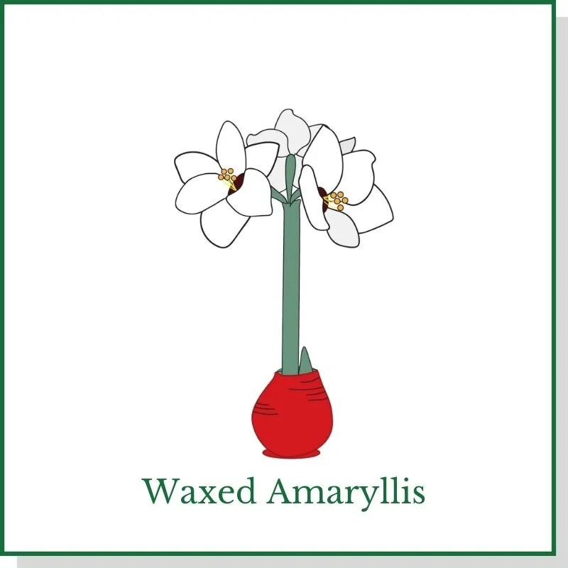 Frequently Asked Questions | Bloomaker USA, Inc.