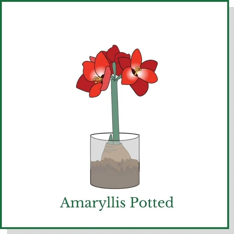 Frequently Asked Questions | Bloomaker USA, Inc.