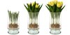 Tulips FAQs | Floral Shop | Bloomaker USA, Inc.