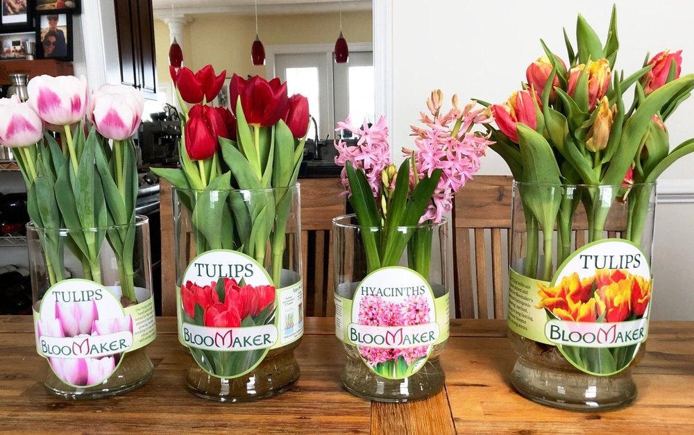 About Us | Online Floral Shop | Bloomaker USA, Inc.