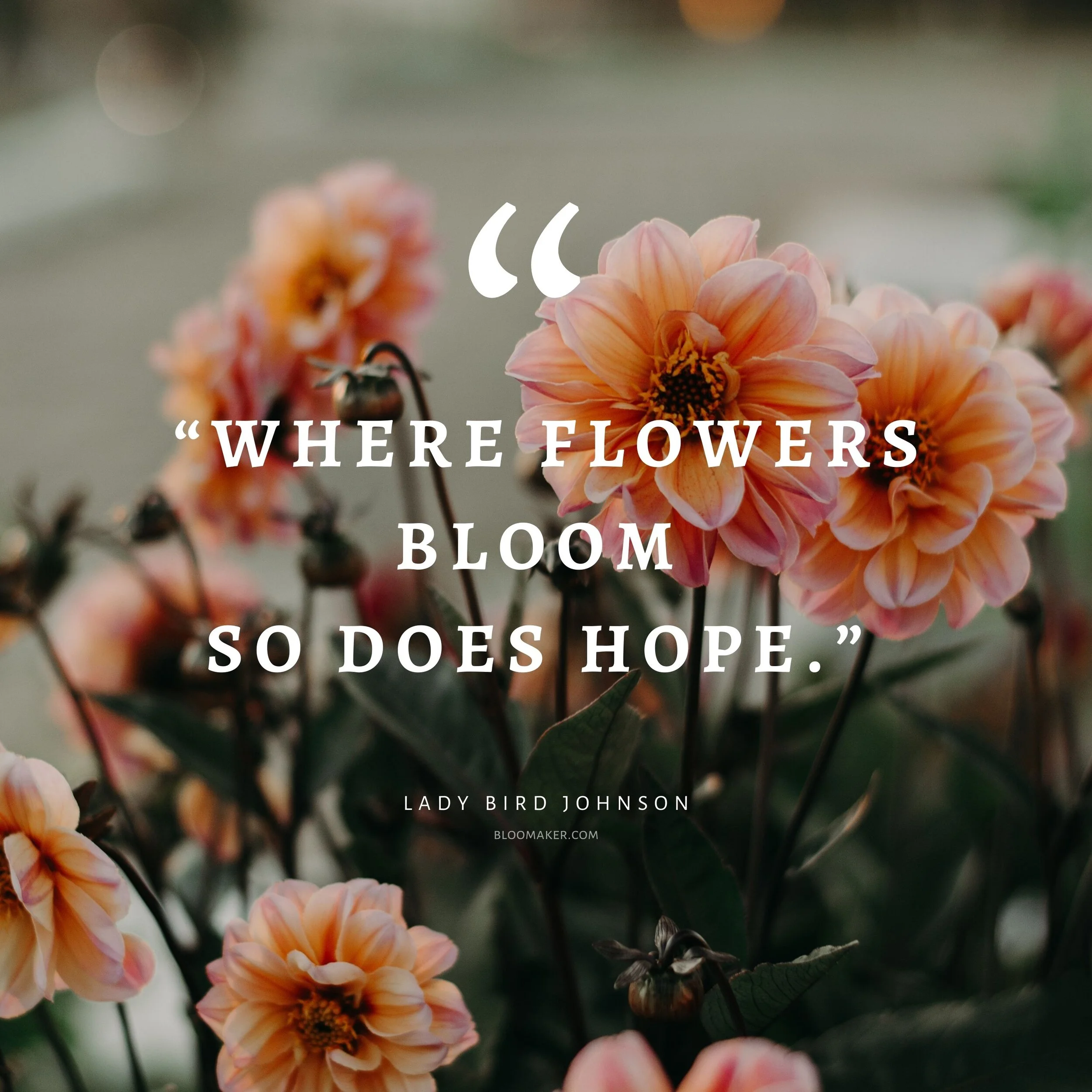 Flowers Inspirational Quotes Pictures Best Flower Site