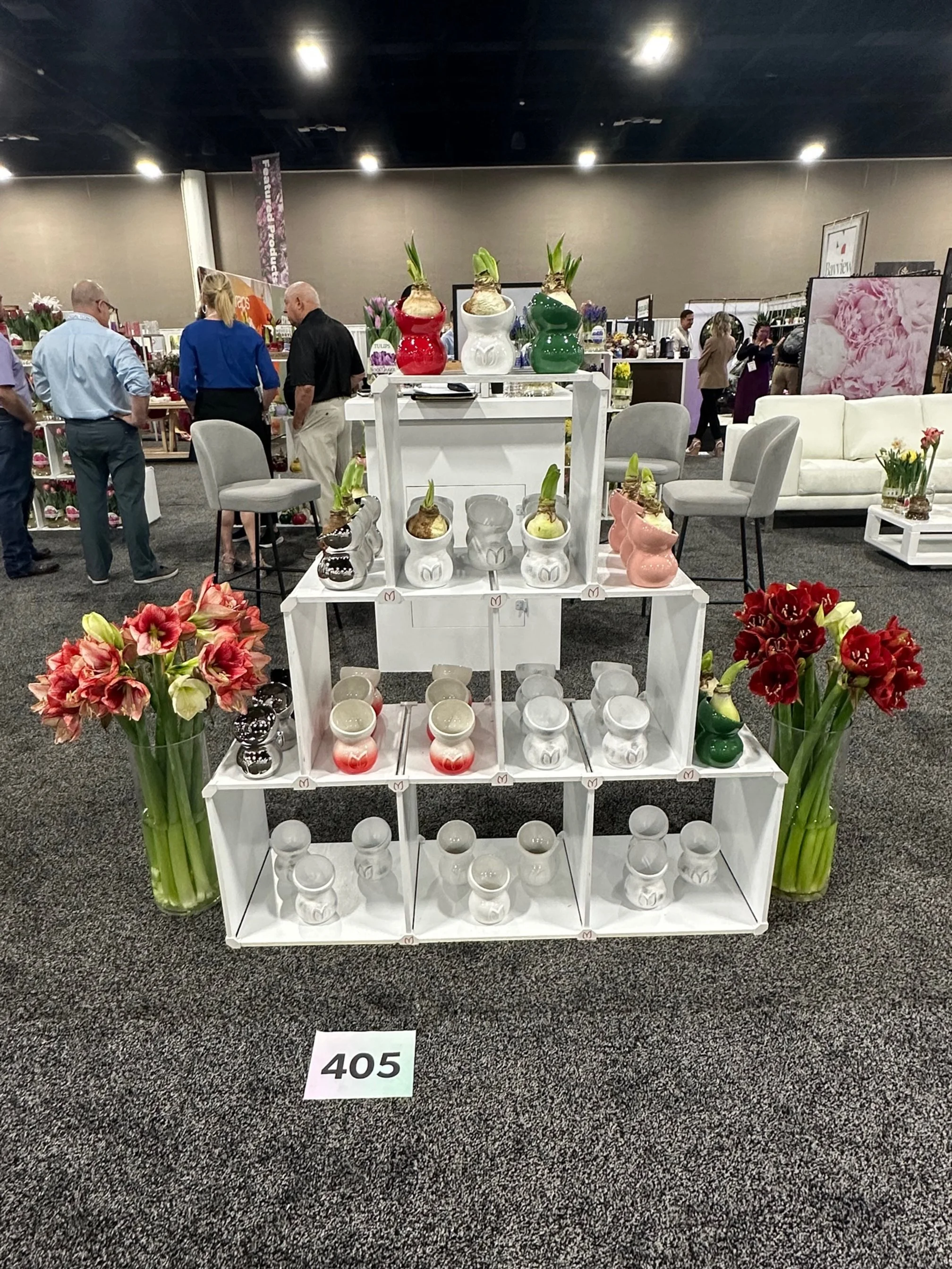 Online Floral Shop | Amaryllis & Tulips | Bloomaker USA, Inc.