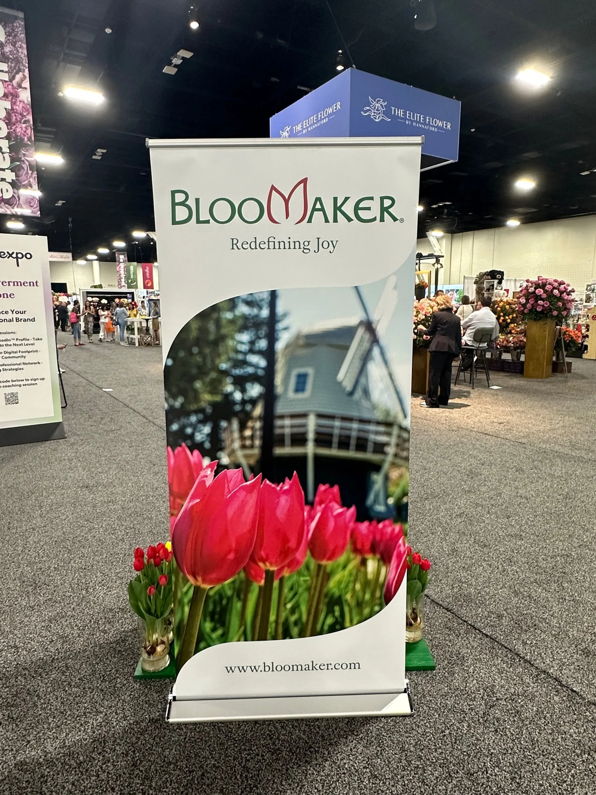 Online Floral Shop | Amaryllis & Tulips | Bloomaker USA, Inc.