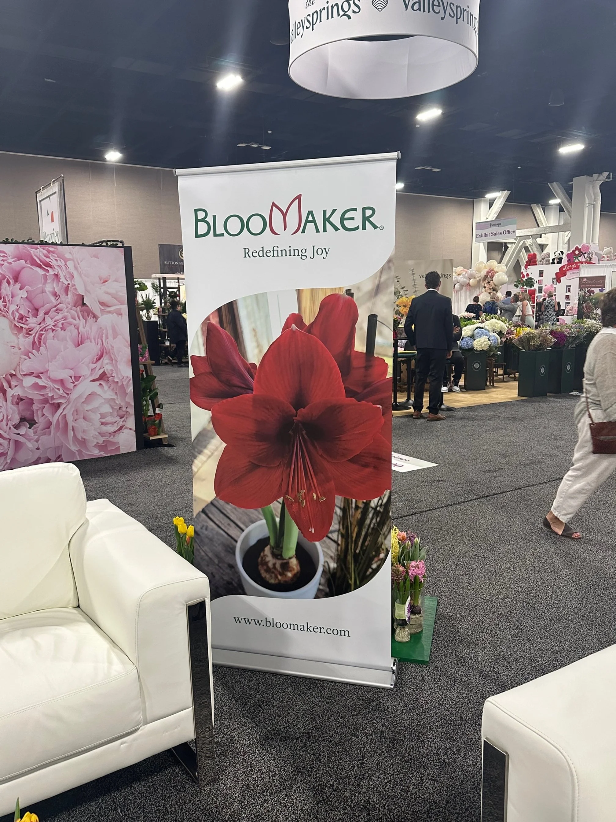 Online Floral Shop | Amaryllis & Tulips | Bloomaker USA, Inc.