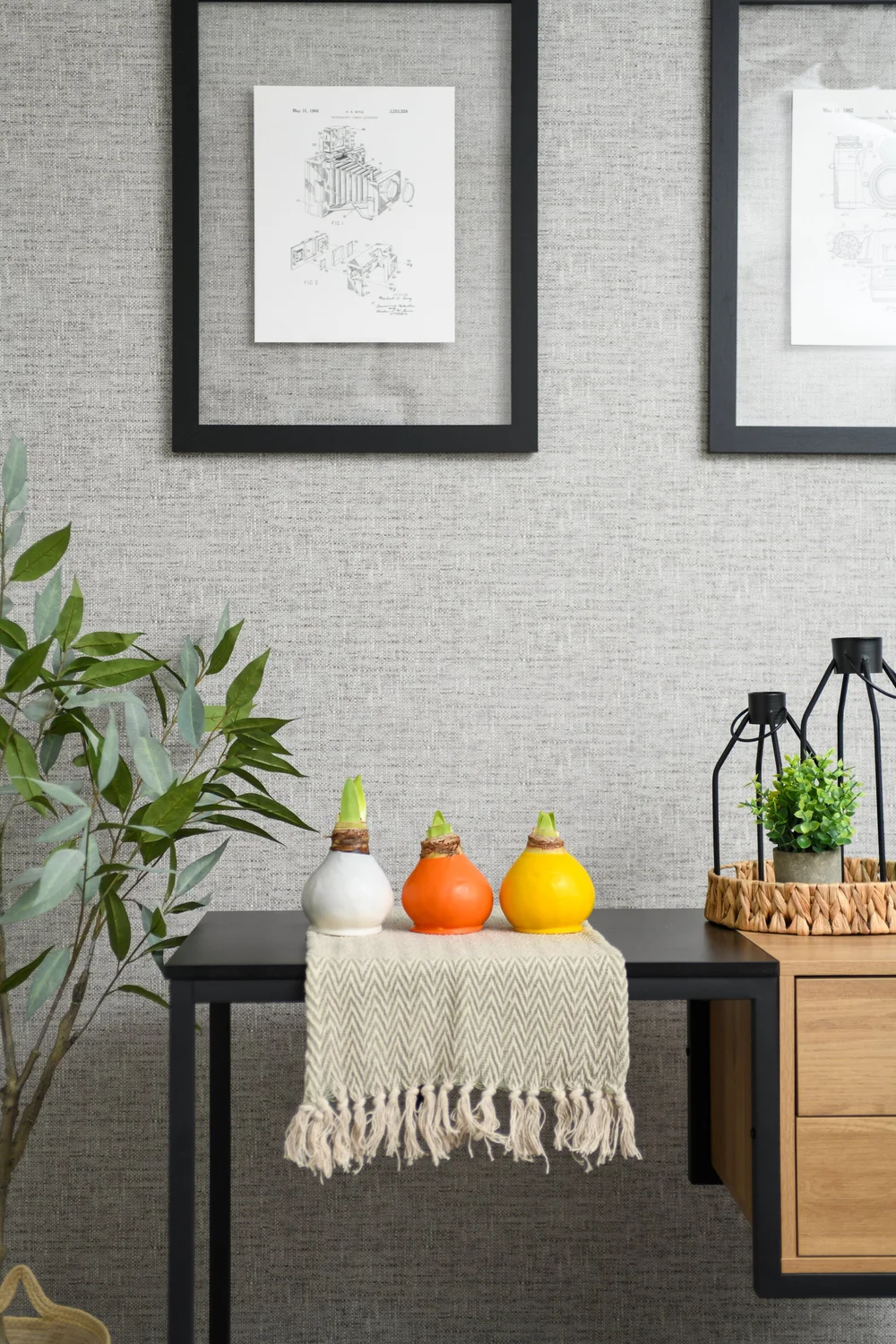 Online Floral Shop | Amaryllis & Tulips | Bloomaker USA, Inc.