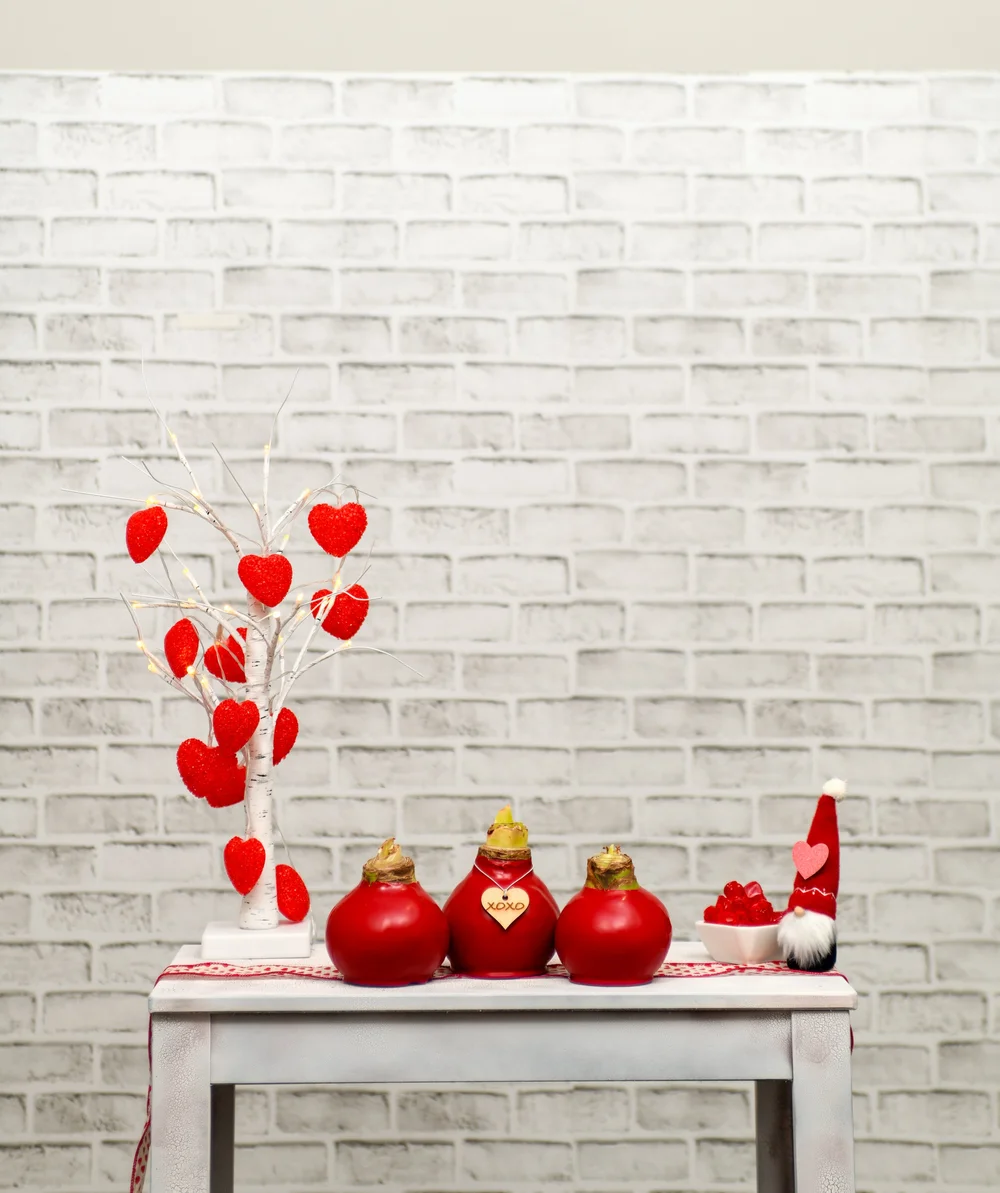 Online Floral Shop | Amaryllis & Tulips | Bloomaker USA, Inc.