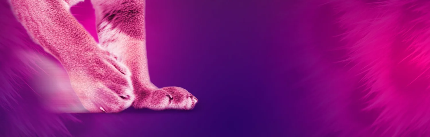 Surmodics: Medical Device Coatings & In Vitro Diagnostics (IVD)