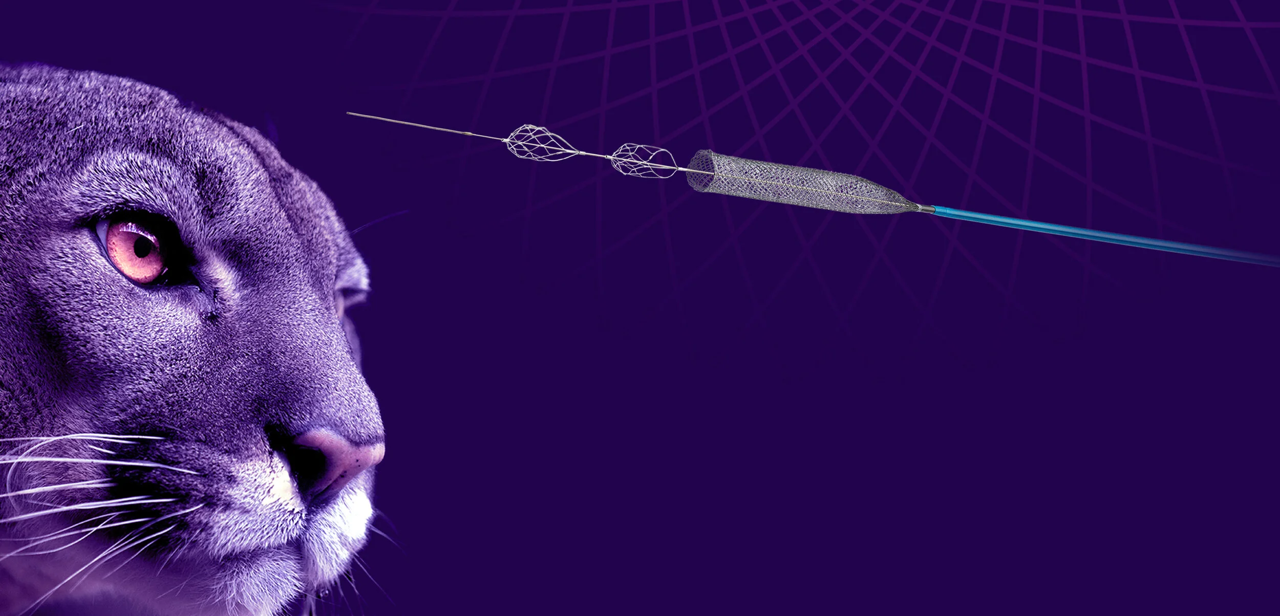 Surmodics: Medical Device Coatings & In Vitro Diagnostics (IVD)