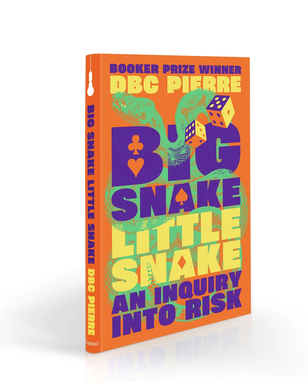 Big Snake Little Snake by DBC Pierre — Cheerio Publishing
