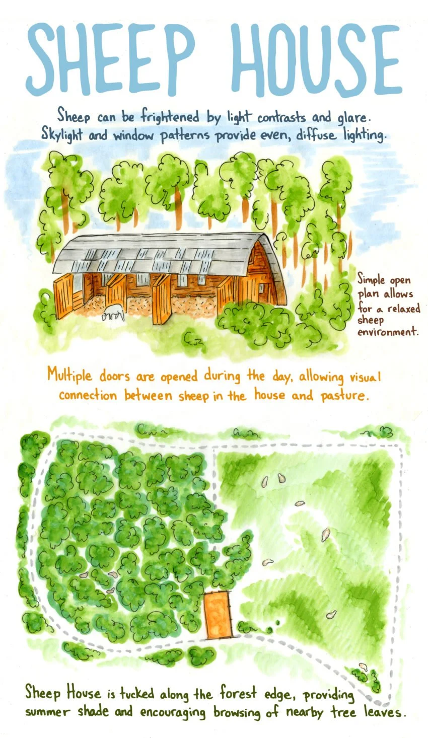 Animal-Centered Design — Piedmont Farm Animal Refuge