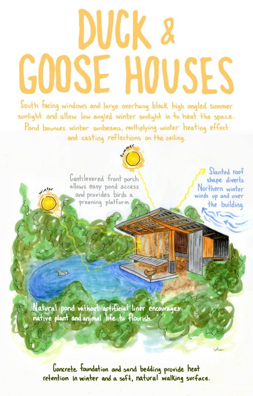 Animal-Centered Design — Piedmont Farm Animal Refuge