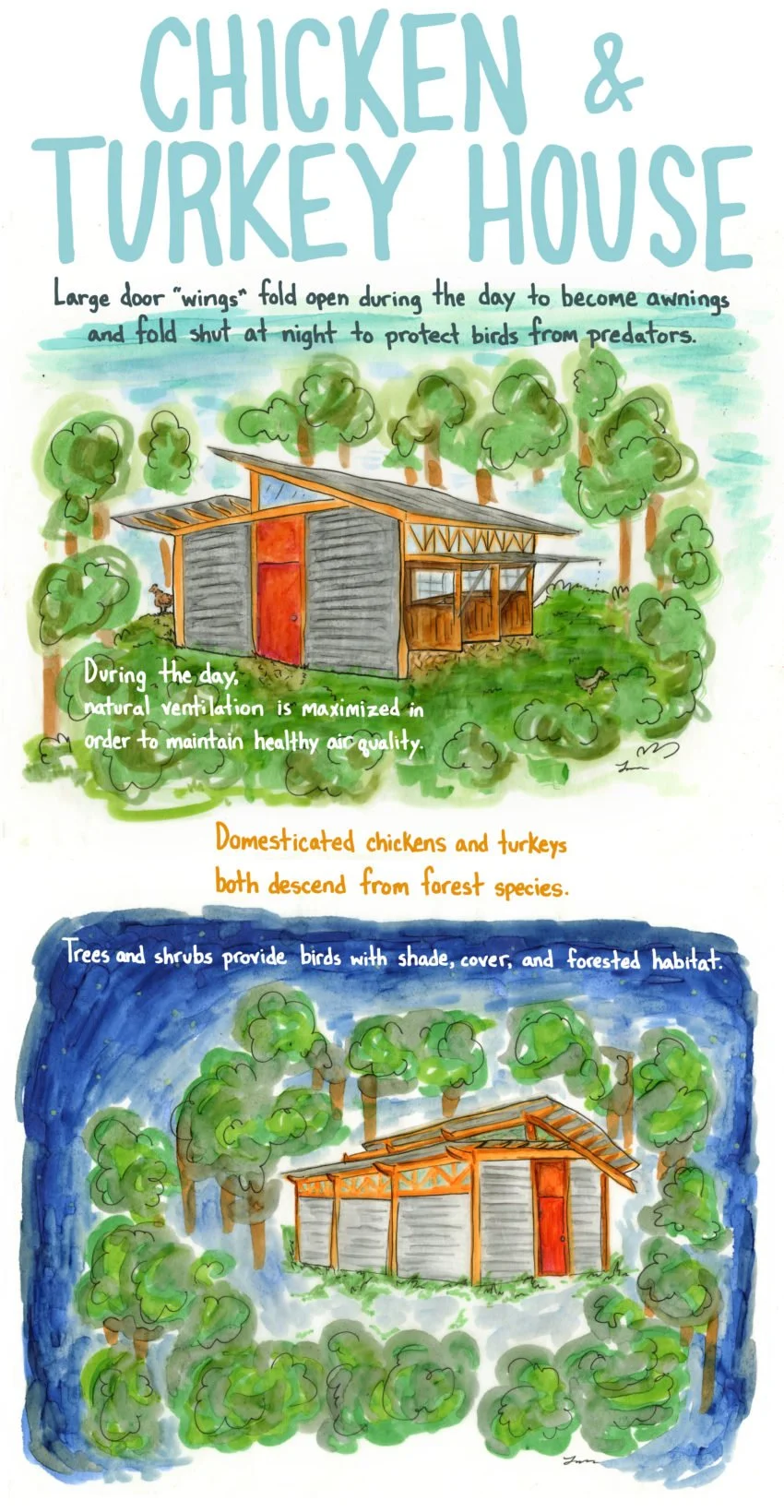 Animal-Centered Design — Piedmont Farm Animal Refuge