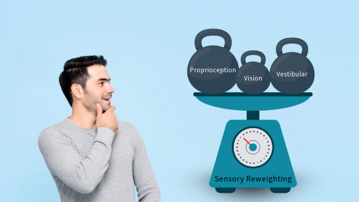 Understanding Proprioception: The Secret Sense for Balance and Fall ...