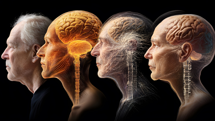 Balance Training and Neuroplasticity: How Training Your Stability ...