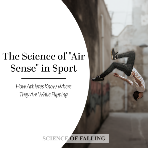 The Science of "Air Sense" in Sport: How Athletes Know Where They Are ...