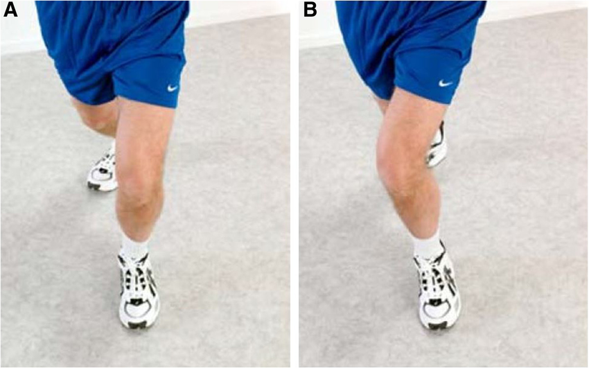 The Foot: The Foundation of Balance — Science of Falling