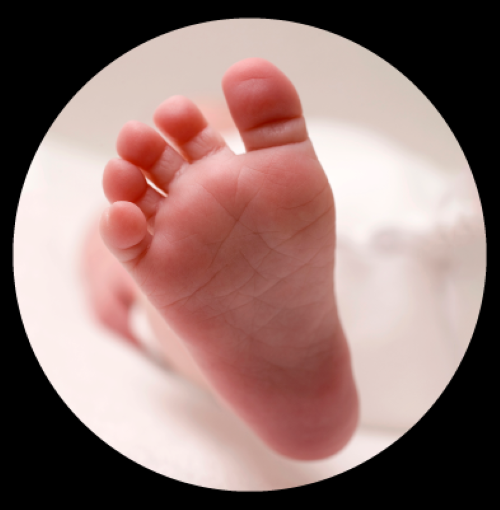 The Foot: The Foundation of Balance — Science of Falling