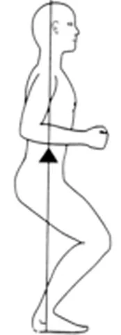 Motor Strategies for Balance Control — Science of Falling