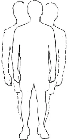 Motor Strategies for Balance Control — Science of Falling