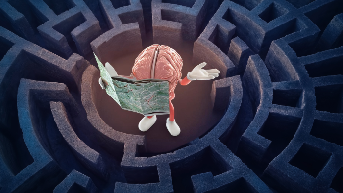 Unlocking the Secrets of Spatial Orientation: How Your Body Knows Which ...