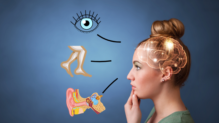 What is Sensory Reweighting: The Key to Balance, Stability, and ...